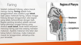 Sistem pernafasan manusia | PPTX