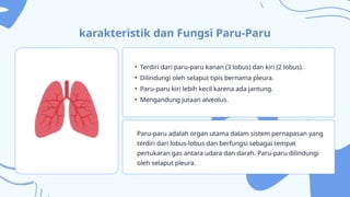 Sistem Pernafasan Manusia Presentasi Materi Pembelajaran Biru ...