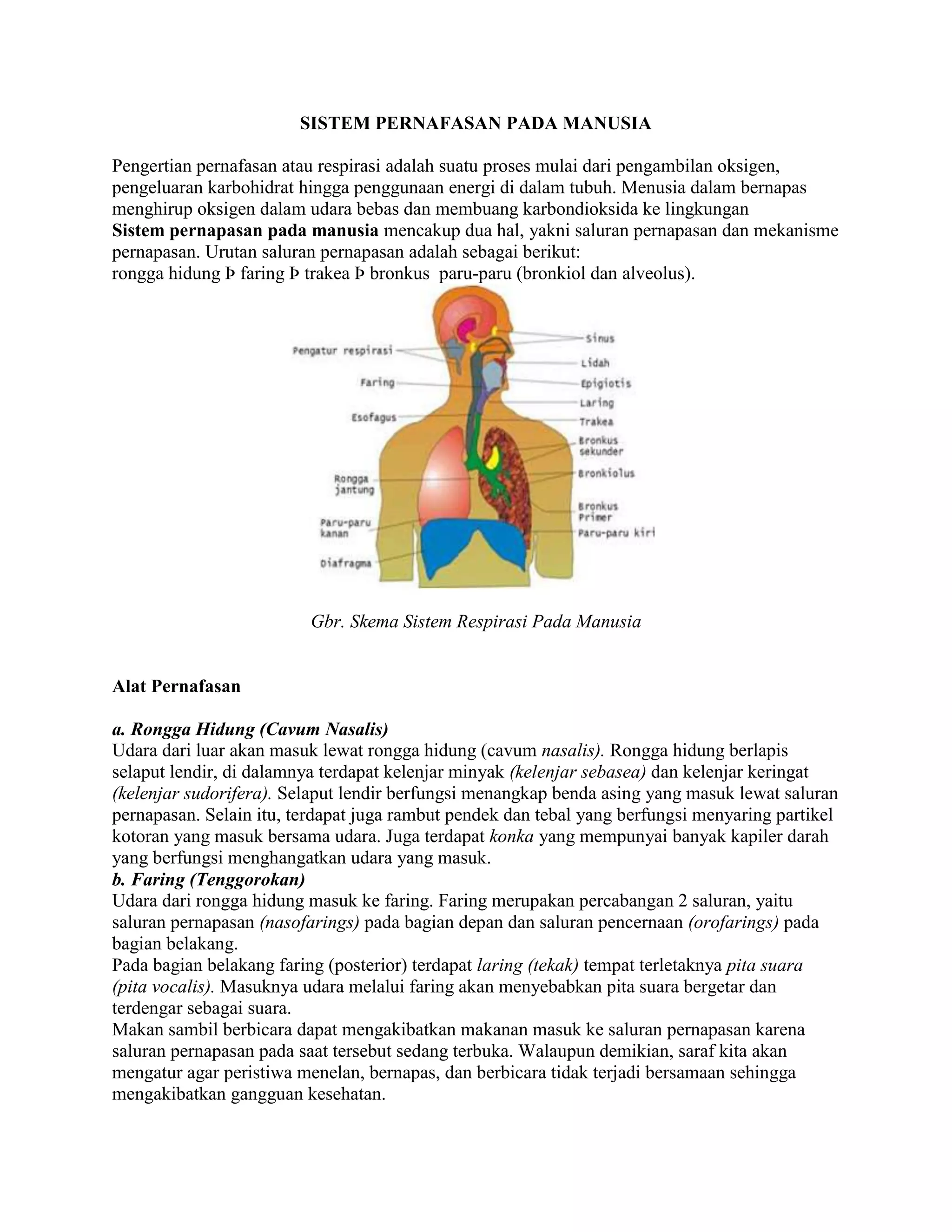 Sistem pernafasan pada manusia dr lelyyy | PDF