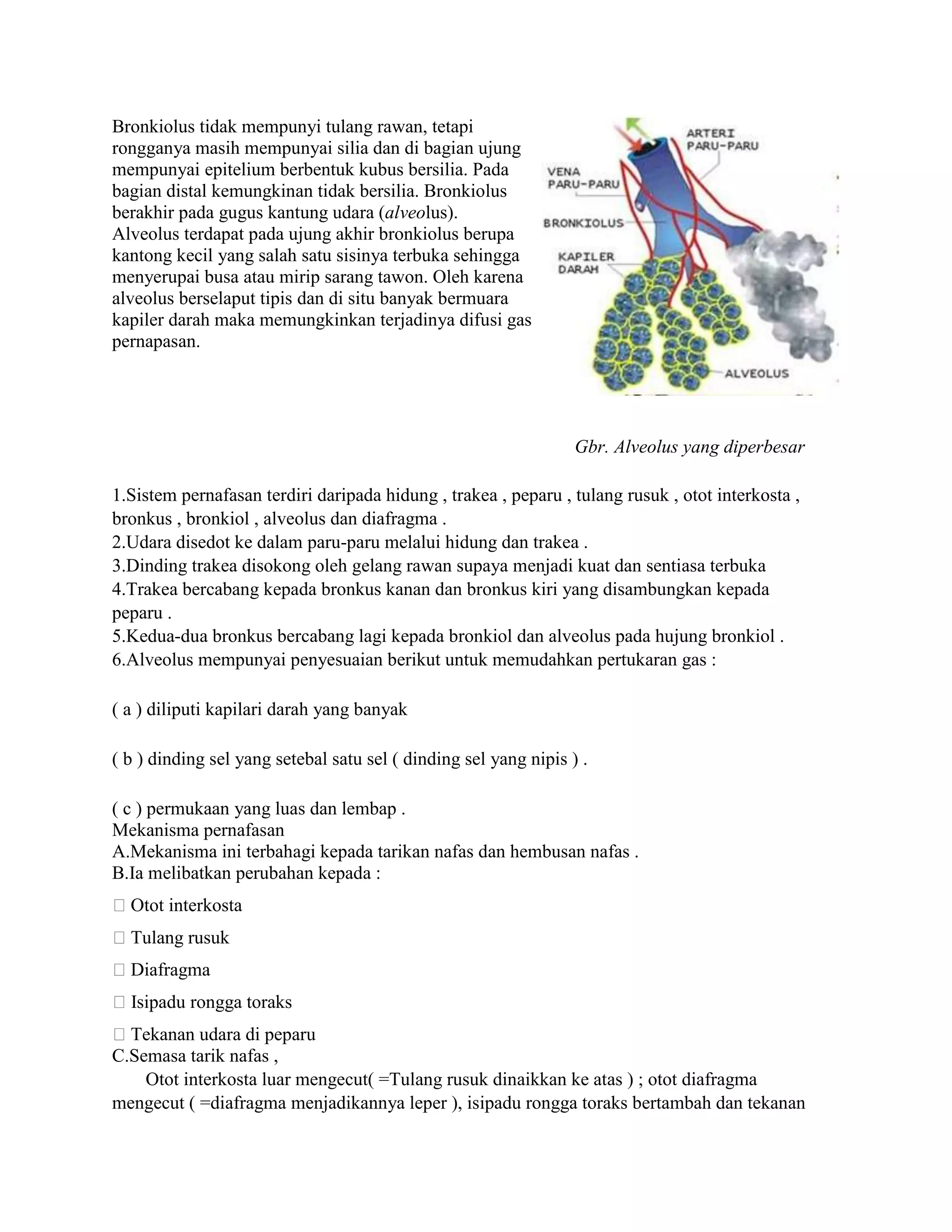 Sistem pernafasan pada manusia dr lelyyy | PDF