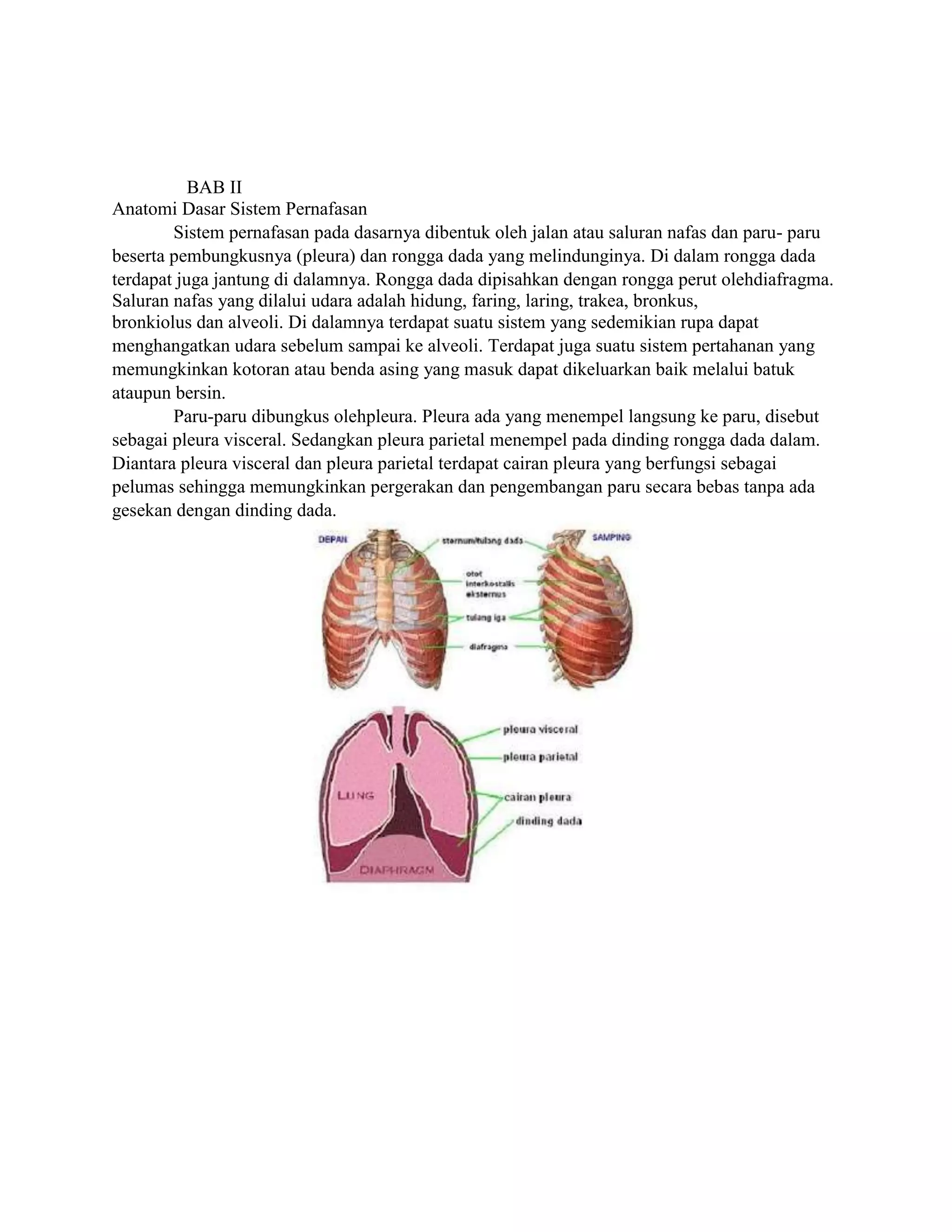 Sistem pernafasan pada manusia dr lelyyy | PDF