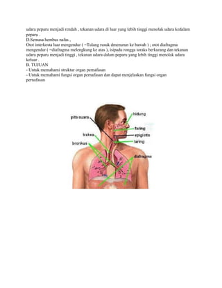 Sistem pernafasan pada manusia dr lelyyy | PDF