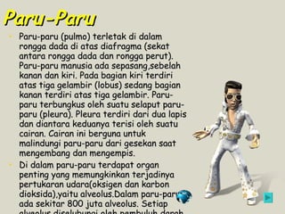 Sistem Pernapasan | PPS