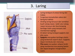 Sistem pernapasan | PPTX