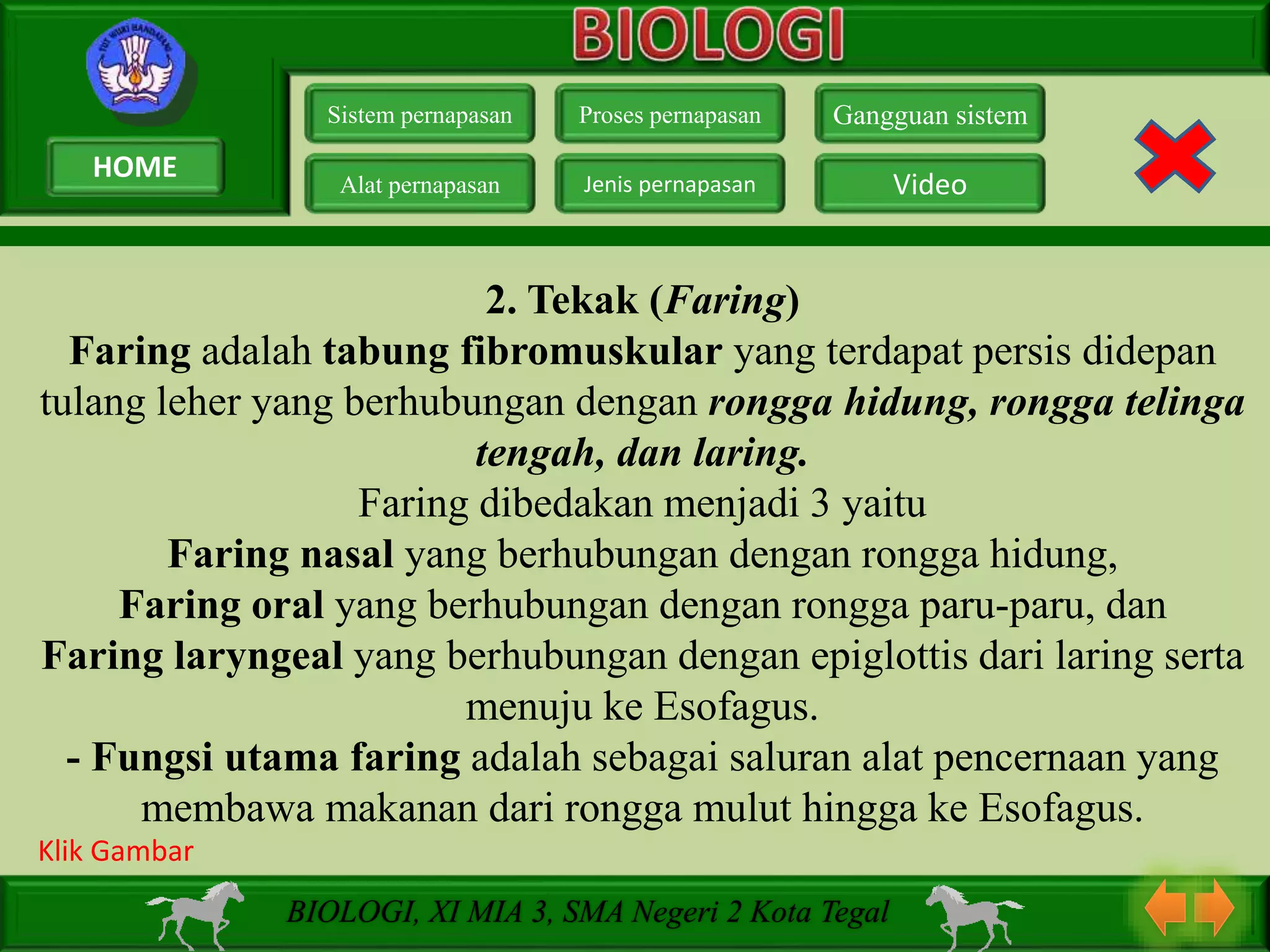 Sistem pernapasan | PPTX
