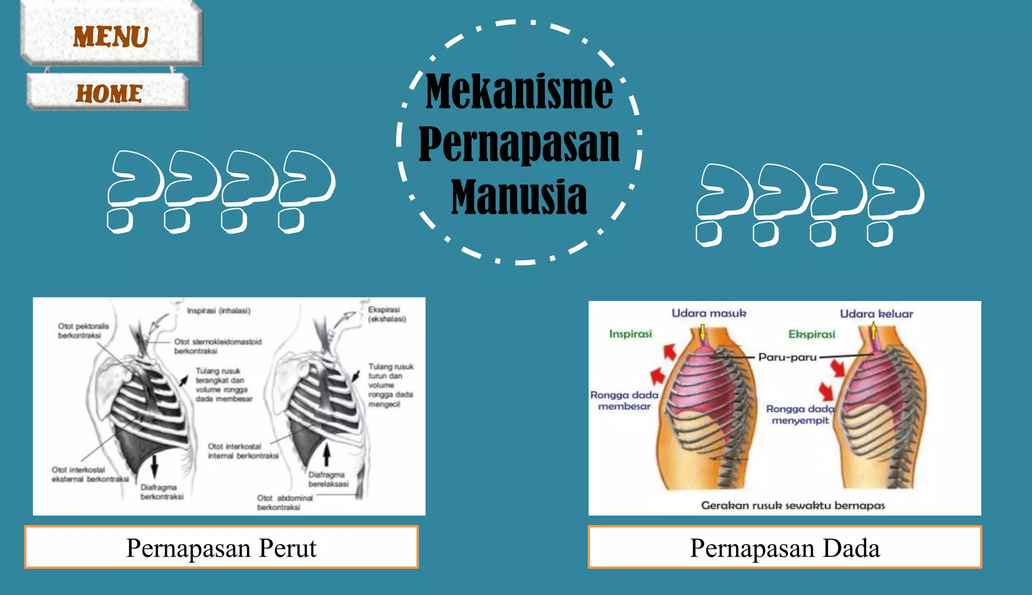 Sistem pernapasan | PPTX