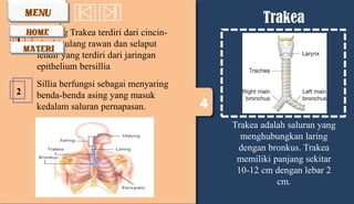 Sistem pernapasan | PPTX
