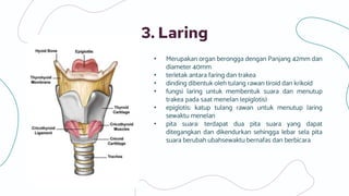 Sistem Pernapasan.pptx