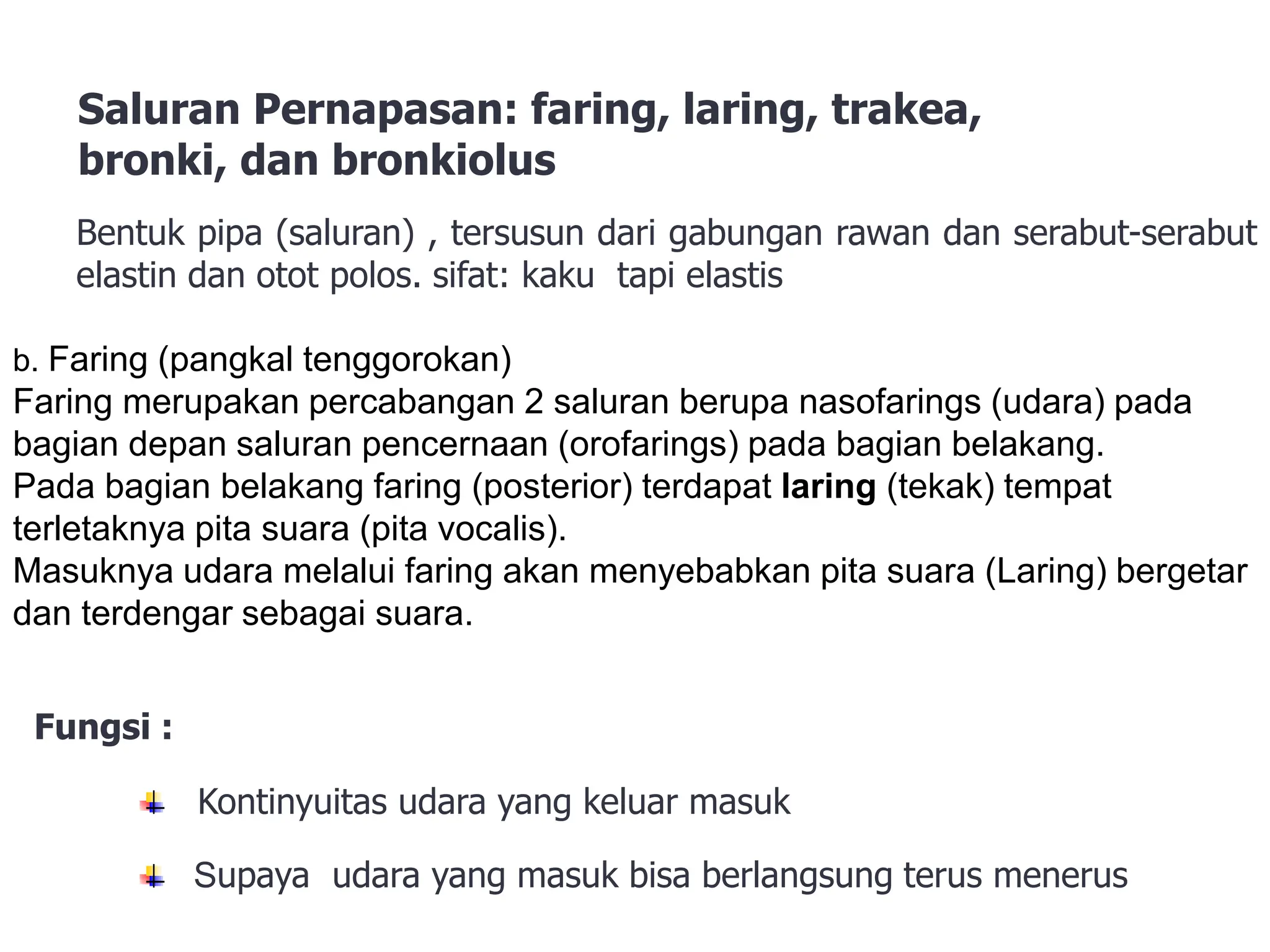 sistem Pernapasan.ppt kelas XI kurikulum Merdeka | PPT