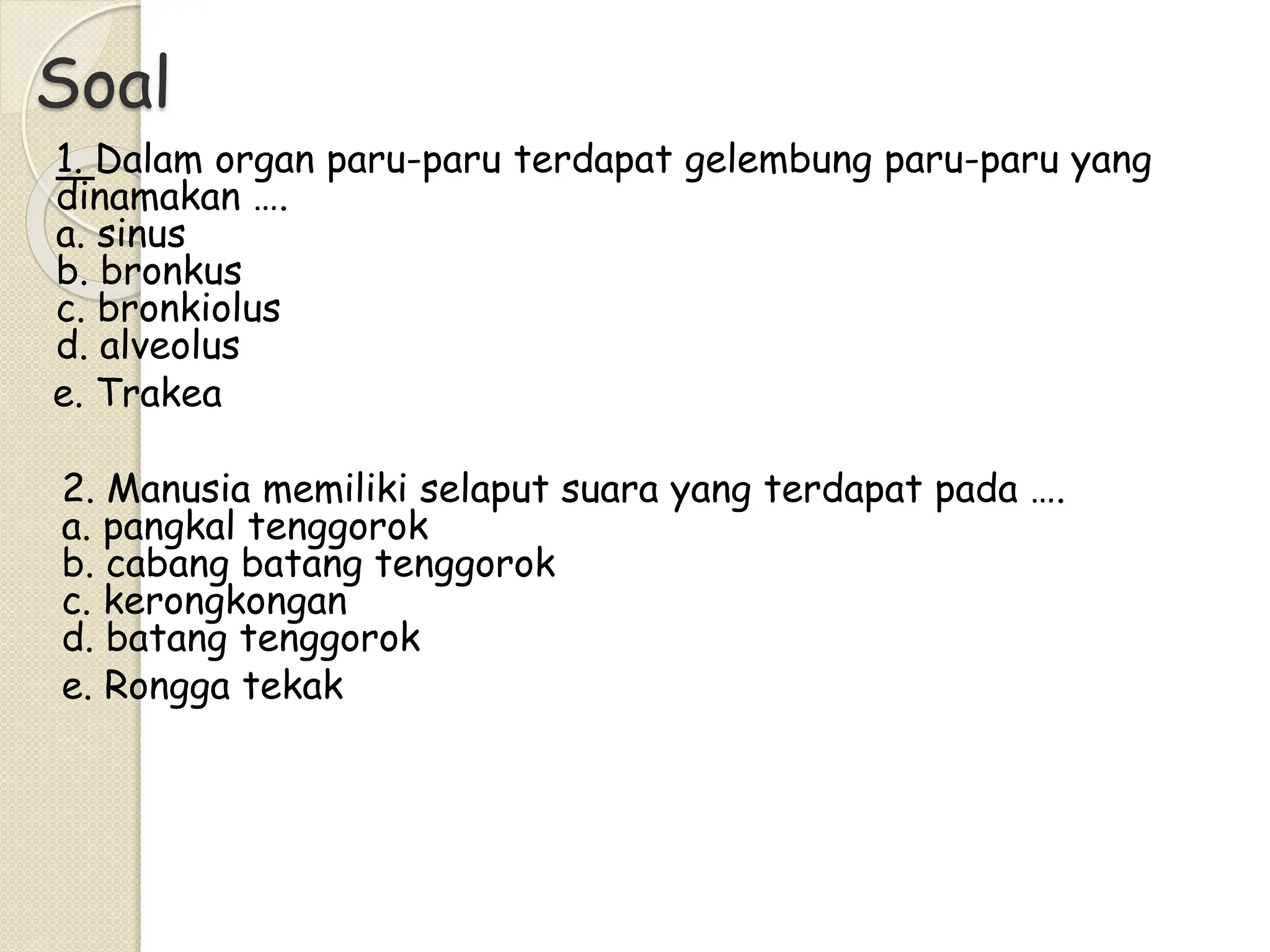 SISTEM PERNAPASAN DAN OBAT PENYAKIT SISTEM PERNAPASAN | PPTX