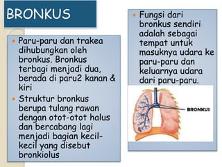 SISTEM PERNAPASAN DAN OBAT PENYAKIT SISTEM PERNAPASAN | PPTX