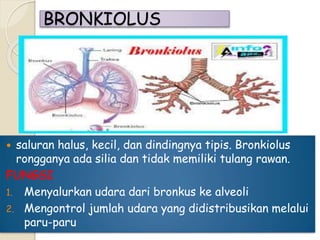 SISTEM PERNAPASAN DAN OBAT PENYAKIT SISTEM PERNAPASAN | PPTX