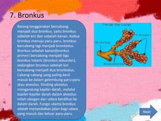 Sistem Pernapasan Manusia | PPT