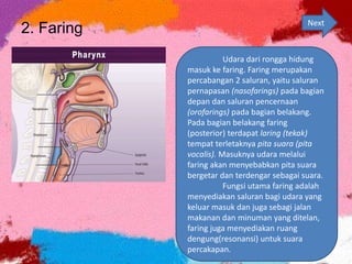 Sistem Pernapasan Manusia | PPT