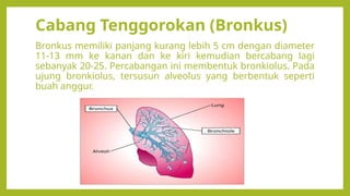 Sistem pernapasan manusia biologi kelas 2 | PPTX