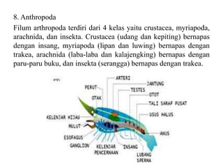 Sistem Pernapasan Pada Hewan | PPTX