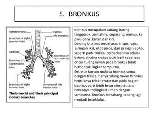 SISTEM PERNAPASAN PADA MANUSIA.pptx