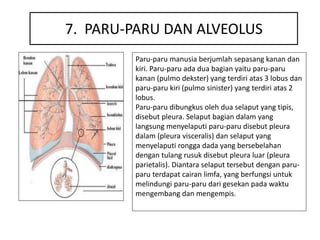 SISTEM PERNAPASAN PADA MANUSIA.pptx