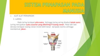 sistem pernapasan pada manusia.pptx