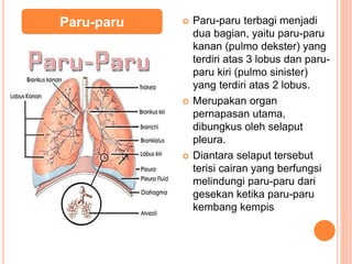 sistem pernapasan pada manusia.ppt