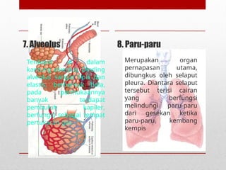 PPT PADA SISTEM SISTEM_PERNAPASAN_pptx.pptx