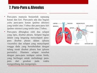 SISTEM PERNAPASAN DI TUBUH MANUSIA BENAR.pptx