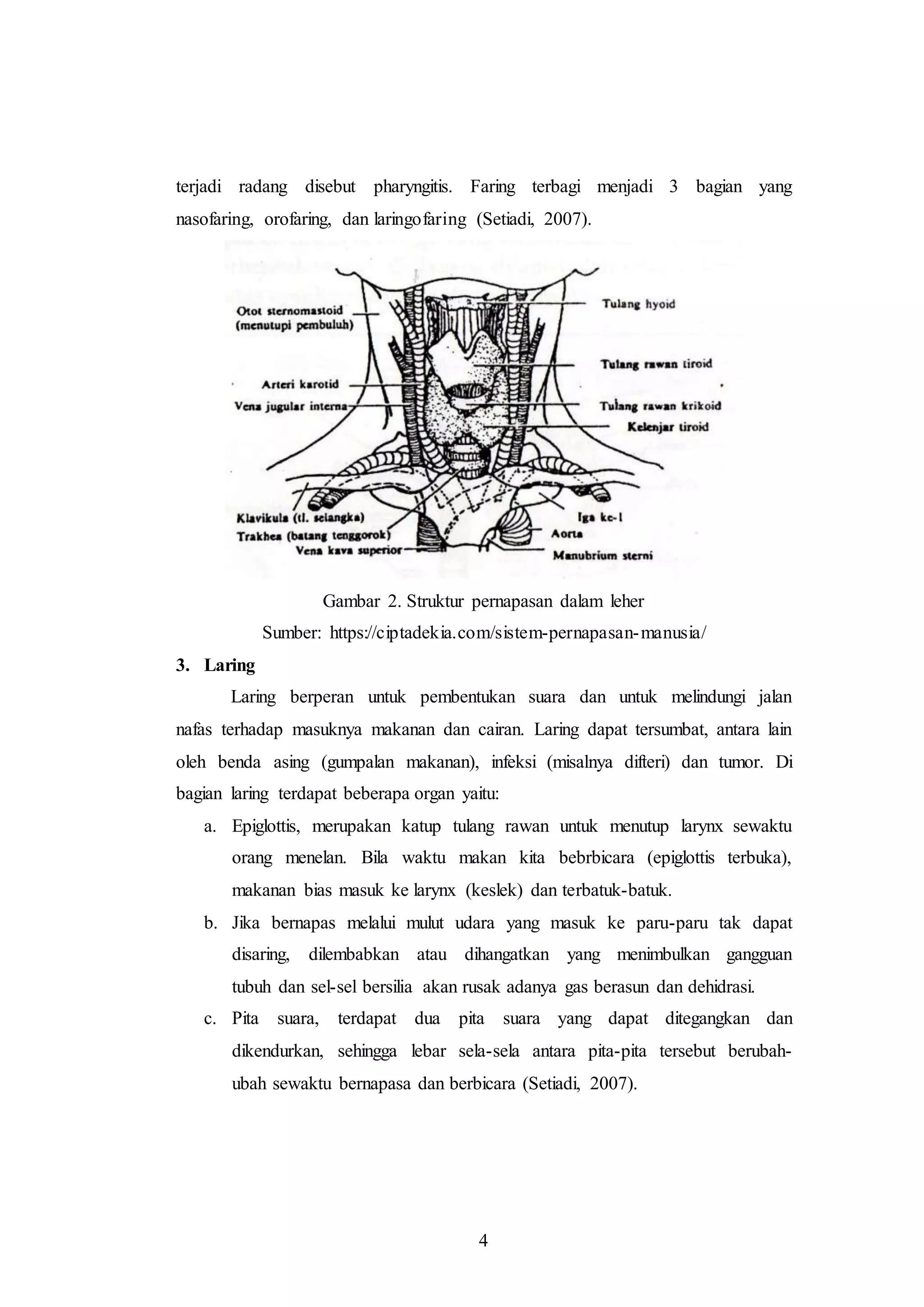 Sistem pernapasan manusia | DOCX