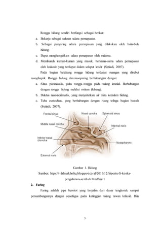 Sistem pernapasan manusia | DOCX