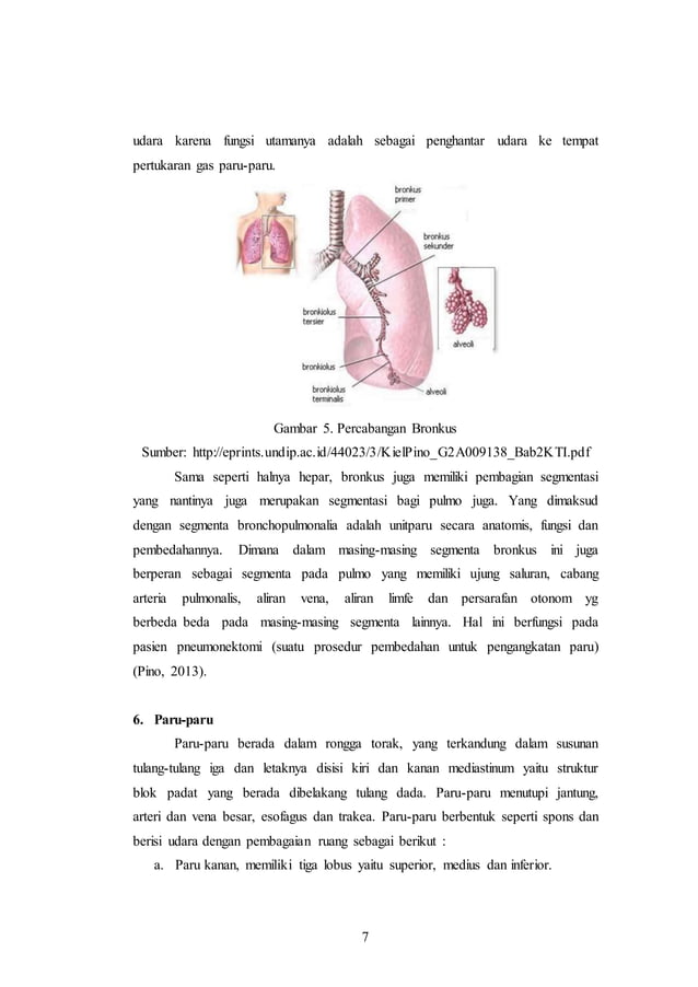 Sistem pernapasan manusia | DOCX