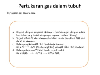 SISTEM PERNAPSAN MANUSIA.pptx