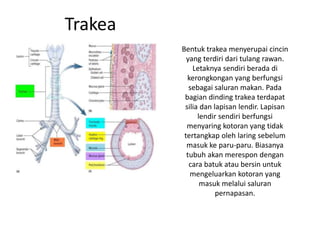 SISTEM PERNAPSAN MANUSIA.pptx