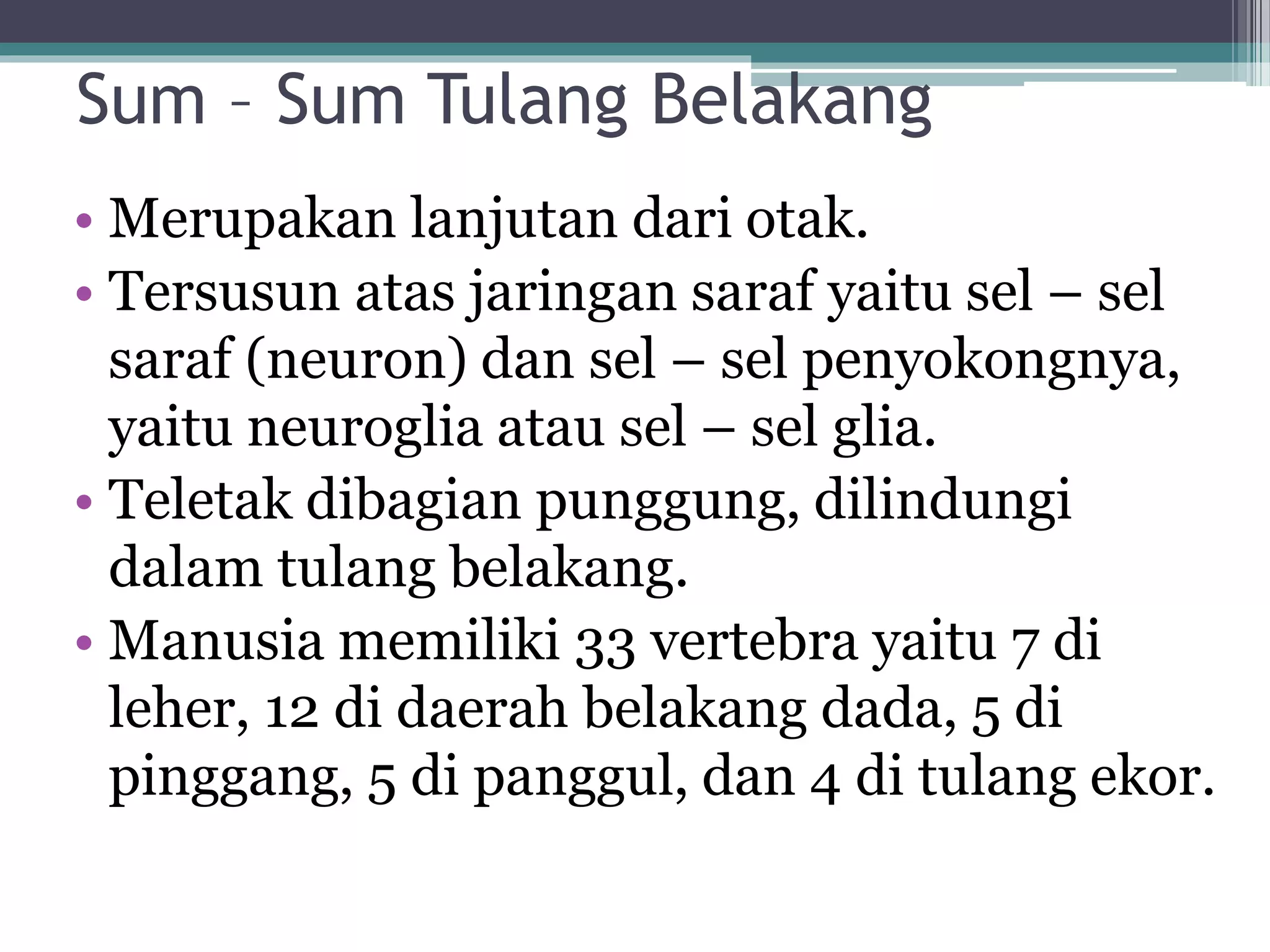 Sistem persarafan | PPTX