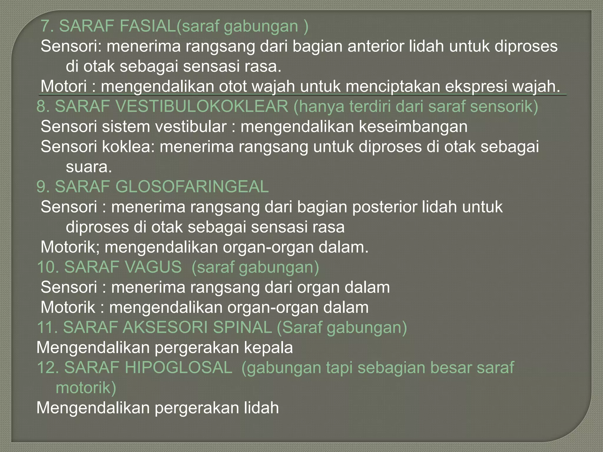 Sistem Persyarafan | PPTX