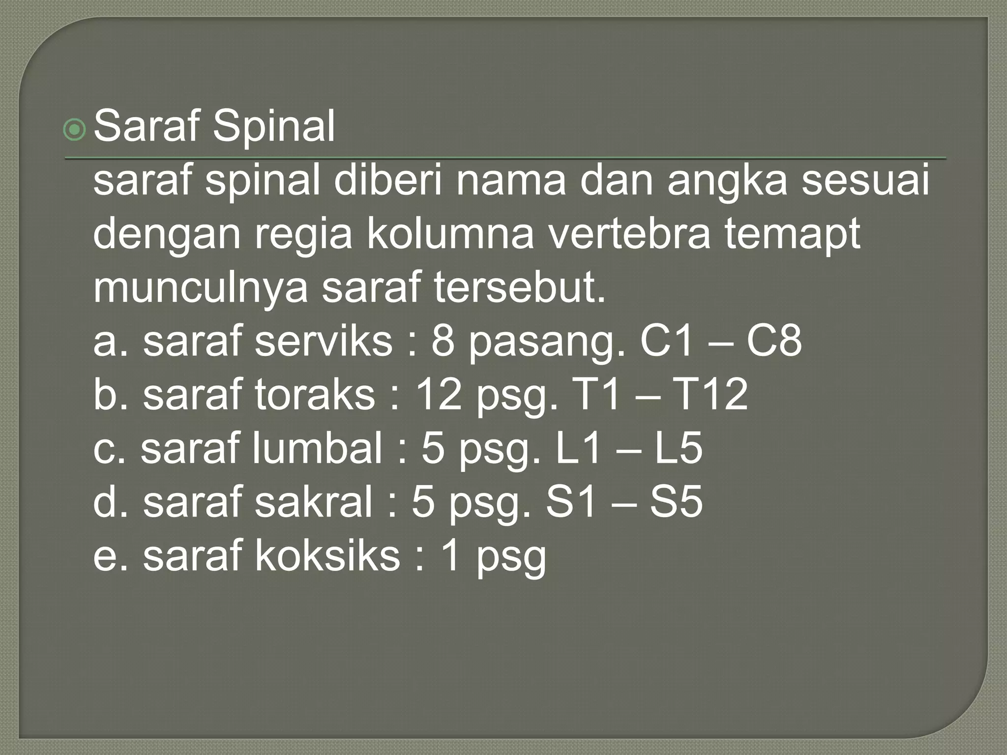 Sistem Persyarafan | PPTX