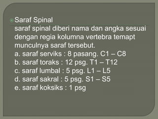 Sistem Persyarafan | PPTX