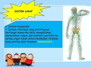 sistem persarafan.pptx