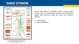 Sistem Persarafan.pptx