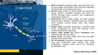 Sistem Persarafan.pptx