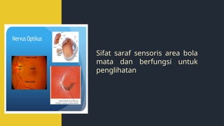 Sistem Persarafan Susunan Saraf Tepi.pptx