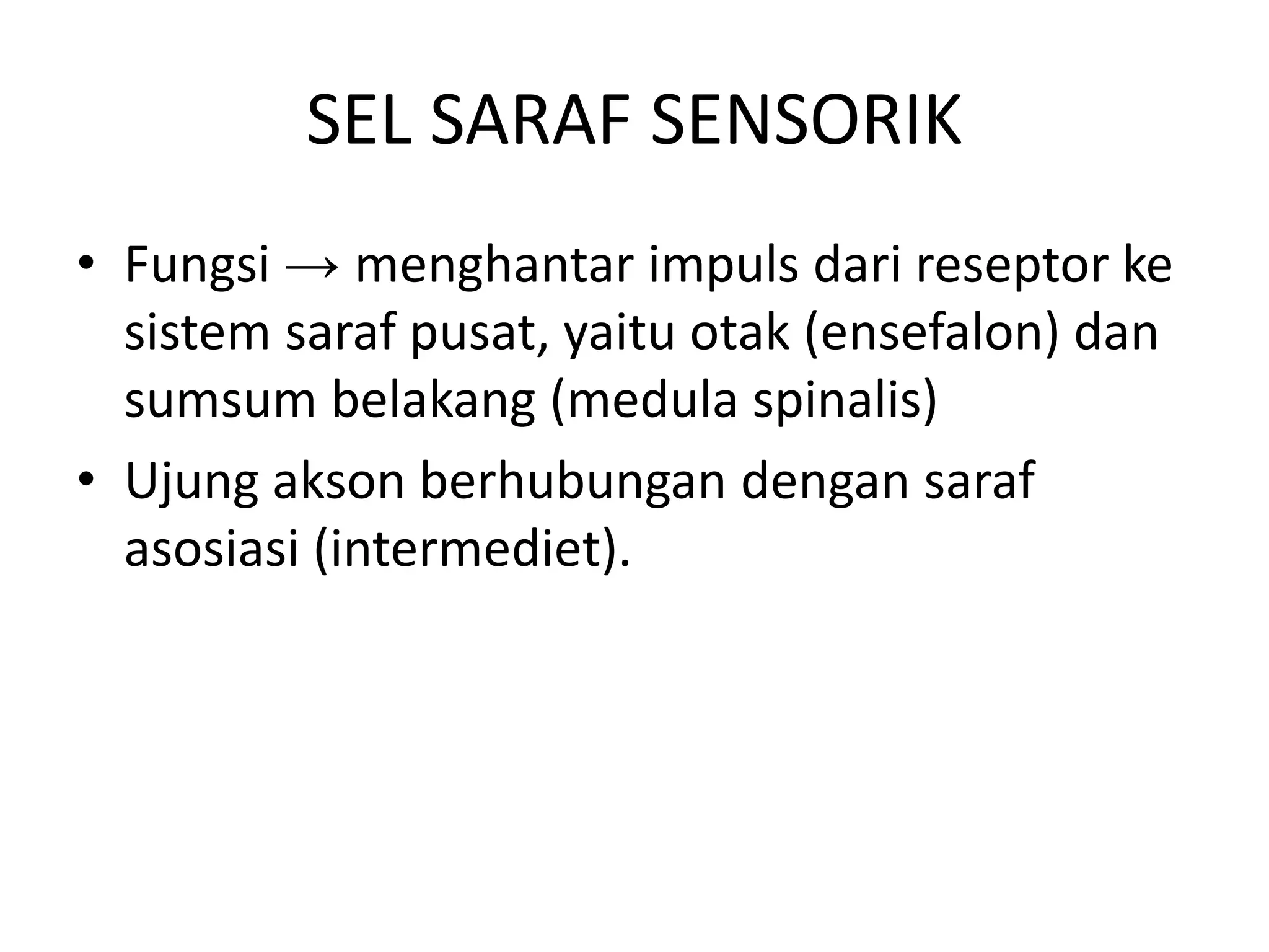 SISTEM PERSEPSI SENSORI - 2. SISTEM SARAF.ppt