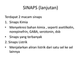 SISTEM PERSEPSI SENSORI - 2. SISTEM SARAF.ppt