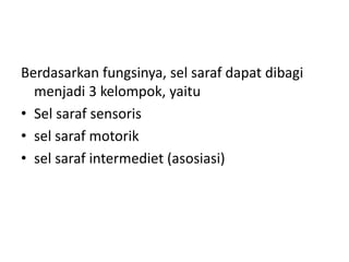 SISTEM PERSEPSI SENSORI - 2. SISTEM SARAF.ppt