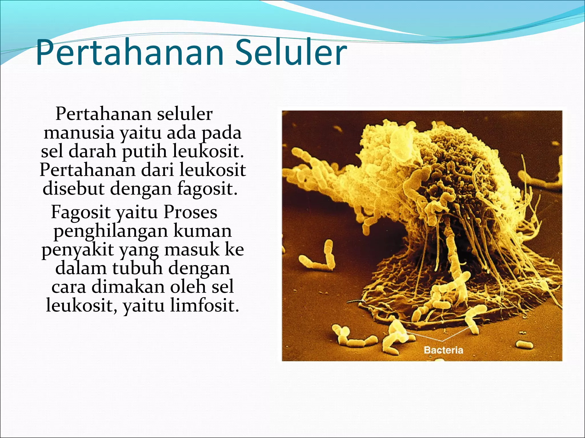 Sistem pertahanan tubuh | PPT