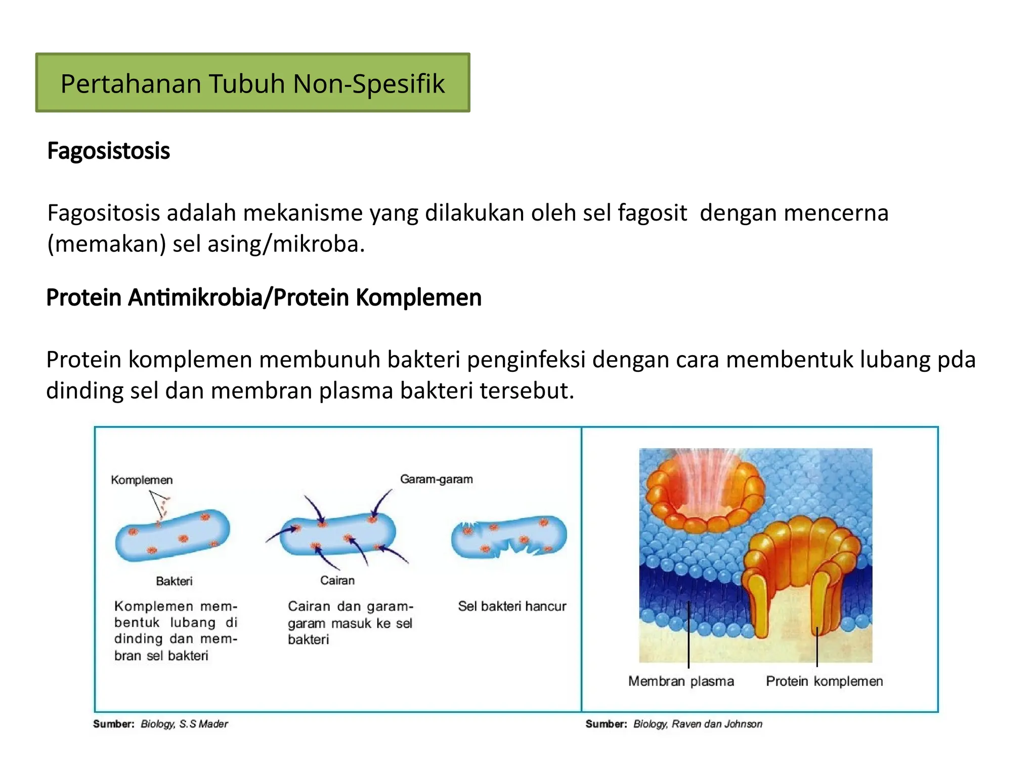 SISTEM PERTAHANAN TUBUH MATERI BIOLOGI XI | PPTX
