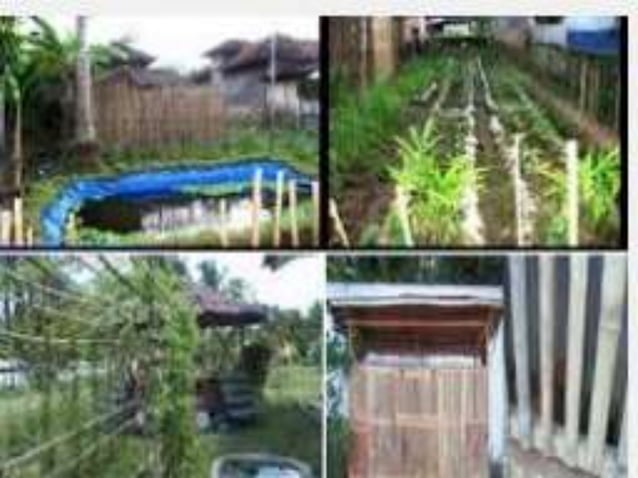 Sistem pertanian terpadu | PPTX