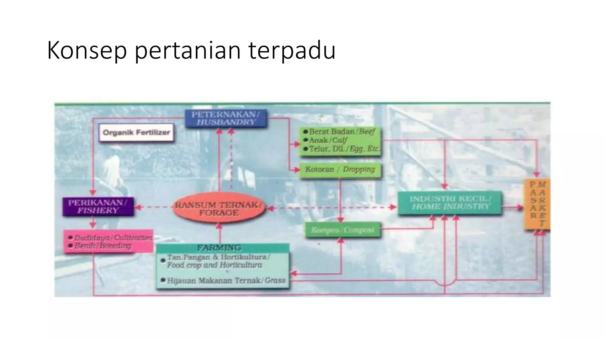 Sistem Pertanian Terpadu 2.pptx
