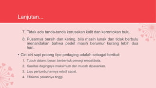 Sistem produksi daging sapi | PPTX