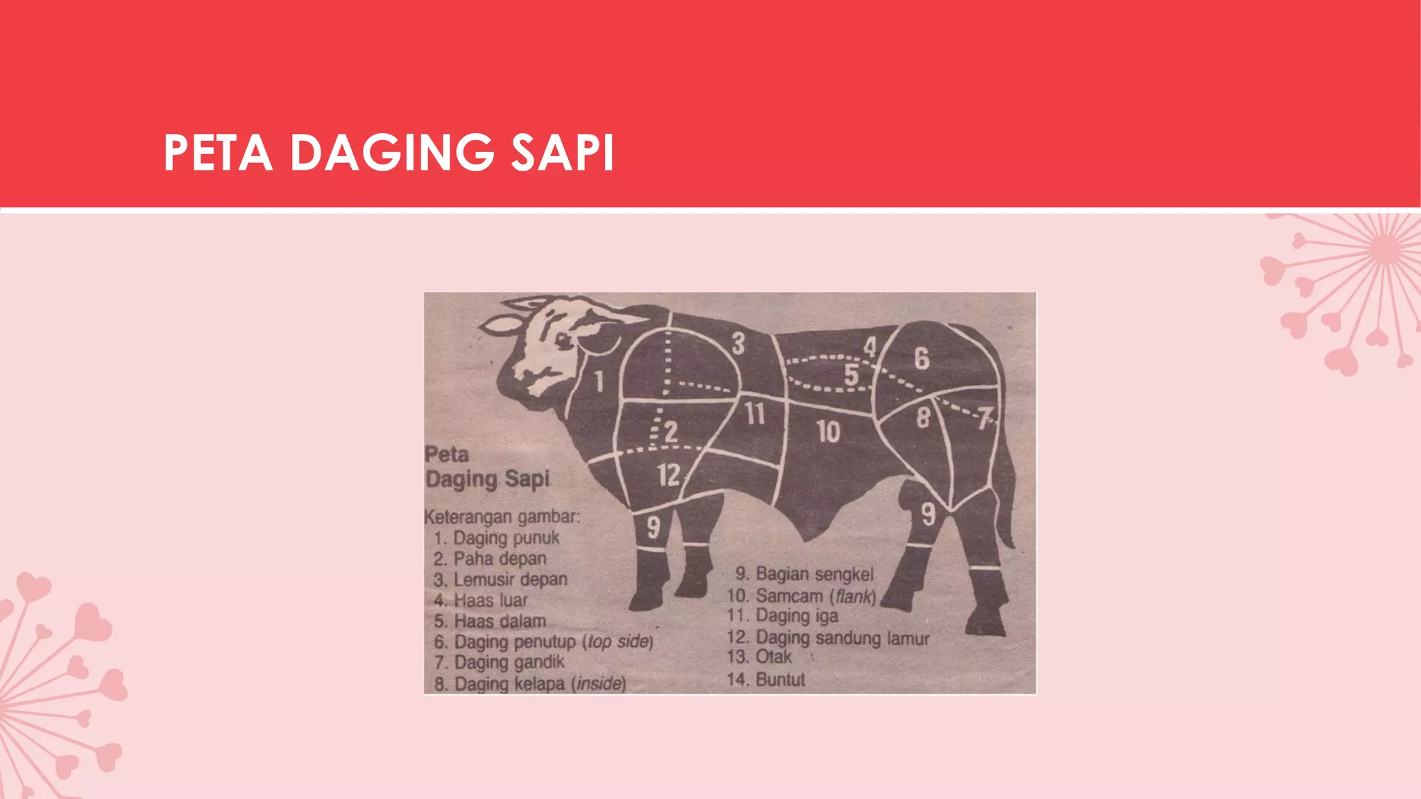 Sistem produksi daging sapi | PPTX