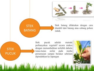 Sistem Produksi Tanaman Hias | PPTX