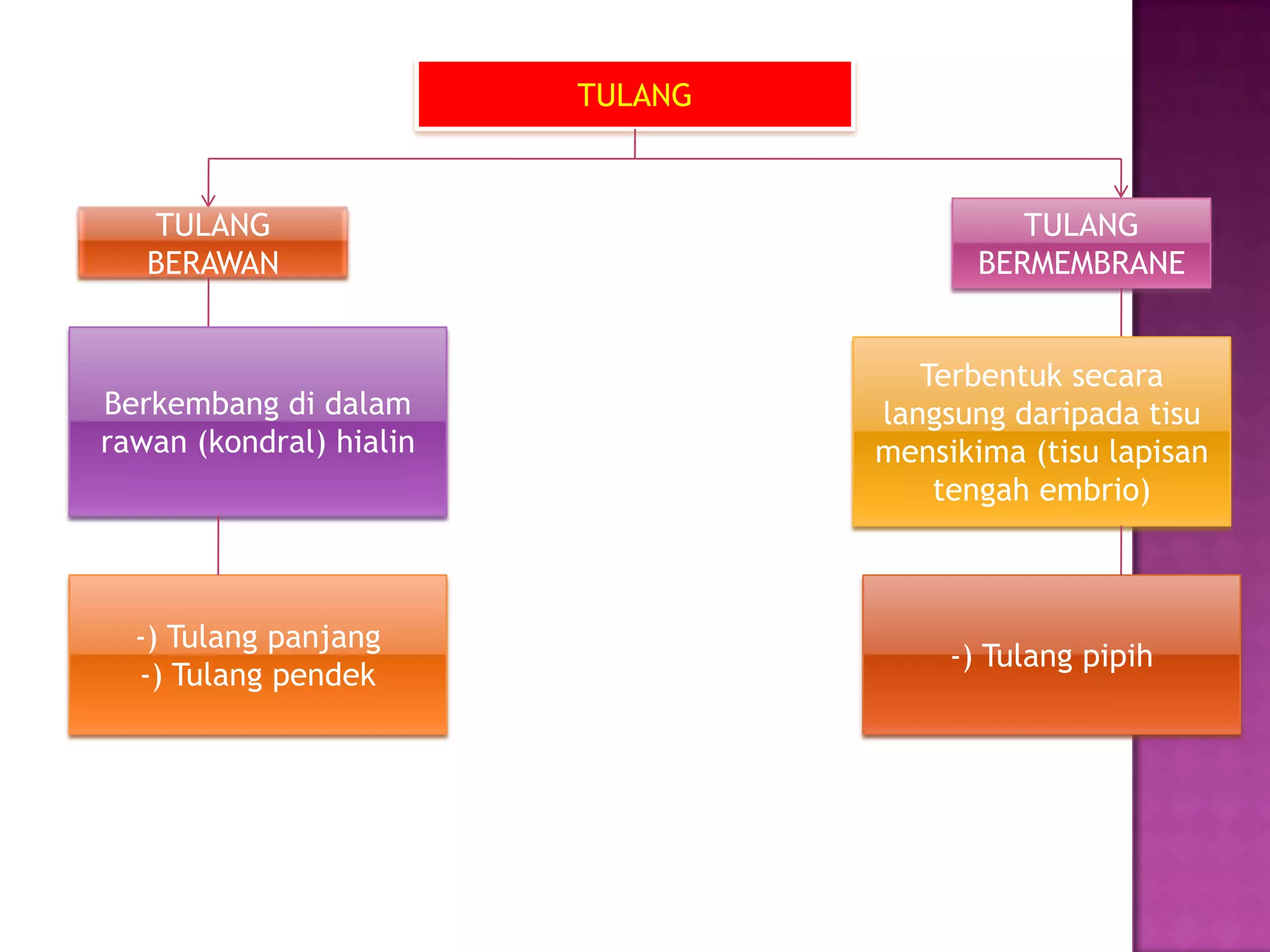 Sistem rangka | PPTX